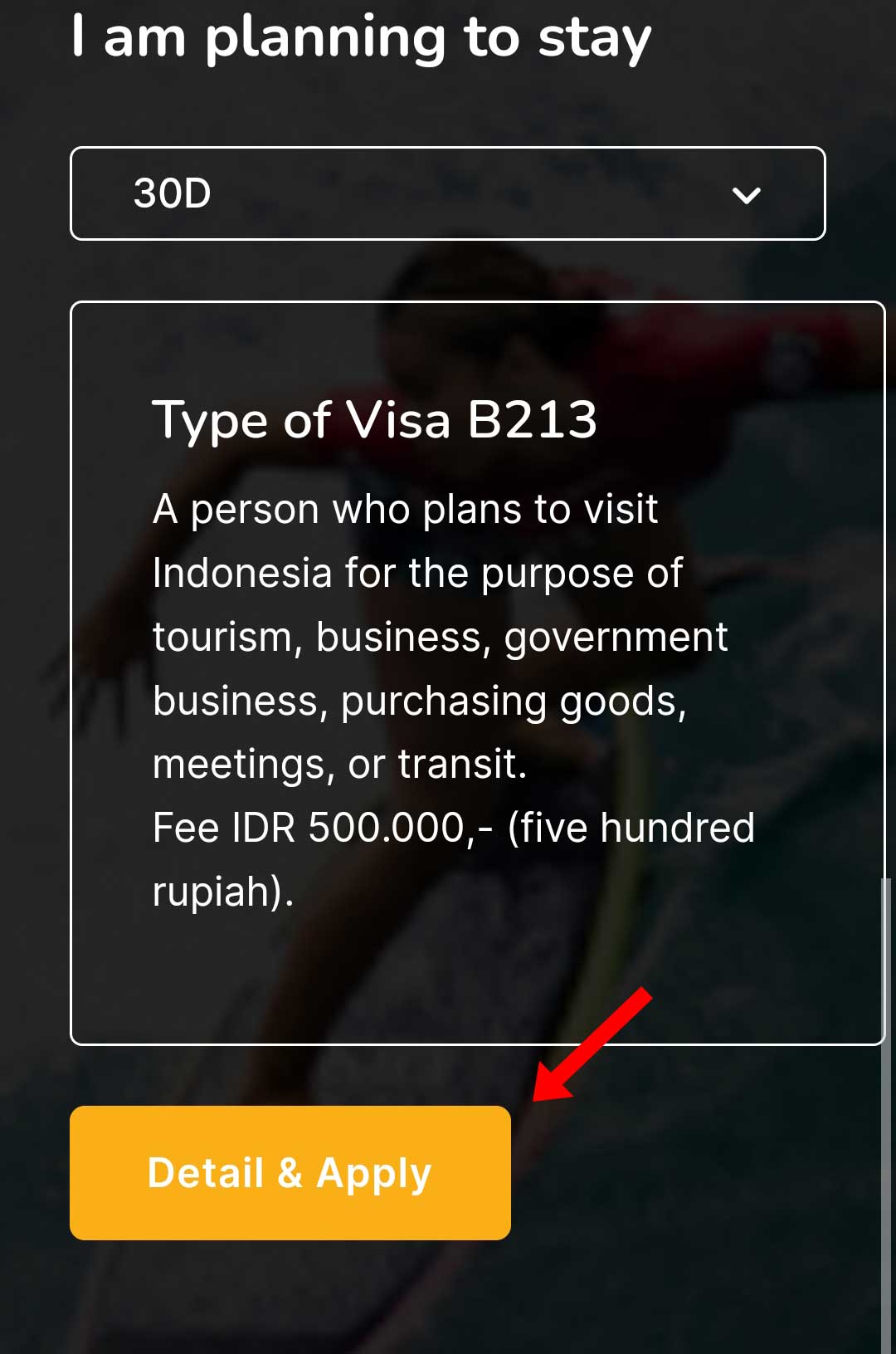 e-VOA取得方法！バリ島観光ビザのオンライン申請 | 南国うまうま日記
